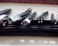 China XLPE Insulated Aluminum Conductor Cable for Overhead Application in Philippines Market for sale