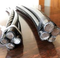 China XLPE Insulated Aluminum Conductor Cable for Overhead Application in Philippines Market for sale