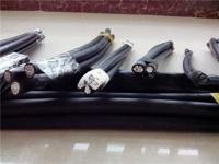 China BS IEC ASTM DIN Standard UP-TO-DATE OVERHEAD PVC Insulated ABC Cable Multiplex 70mm2 for sale
