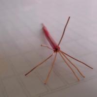 China 4mm Copper Wire Cable PVC IEC Insulated Aluminum Stranded Conductor for Building RV for sale
