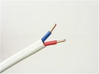 China Low Voltage Copper Conductor PVC Insulated RVV Cable for Construction at Best for sale