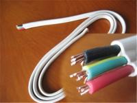 China Low Voltage Copper Conductor PVC Insulated RVV Cable for Construction at Best for sale