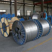 China Medium Voltage Insulated AAAC Conductor with PE Insulation to ASTM BS DIN IEC Standards for sale