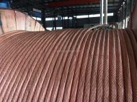 China ISO9001/ISO14001/OHSAS18001/CCC Approved 29mm2 Bare Copper Cable with XLPE Insulation for sale