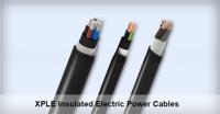 China Low Voltage YJV22 Power Cable XLPE Insulated with Copper Conductor for Industrial Use in Thailand-Most Competitive Price for sale