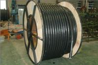 China GOOD CHOICE: 33kv 1Core*300mm2 XLPE insulated Aluminum Wire Armoured Power Cable for Tanzania for sale