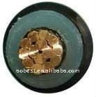 China Hot Sale XLPE Insulated High Tension (HT) Power Cables High Voltage Copper Conductors for Underground Application for sale