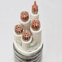 China Hot Sale XLPE Insulated High Tension (HT) Power Cables High Voltage Copper Conductors for Underground Application for sale