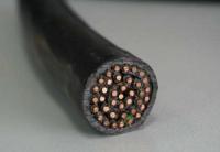 China Best Price Twisted Gear Shifting Control and Instrument Cable Insulated with PVC and XLPE Copper Conductor Pairs for sale