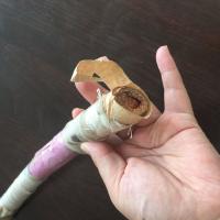 China Copper-Infused R186/C Paper Cable Medium Voltage Insulated Transformer Cable for sale