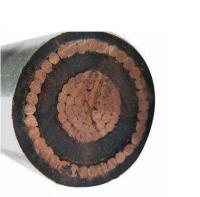 China 600V ASTM 2*16mm xlpe insulated copper aluminum Aerial service concentric cable for sale