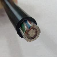 China 600V ASTM 2*16mm xlpe insulated copper aluminum Aerial service concentric cable for sale