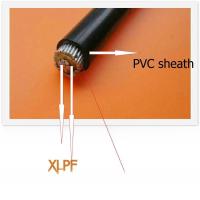 China Best Price China PVC Concentric Cable BS7870 Low Voltage Insulated Type for sale