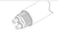 China Best Price China PVC Concentric Cable BS7870 Low Voltage Insulated Type for sale