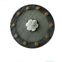 China Best Price Single-Phase Insulated Low Voltage Cable Concentric Type for sale