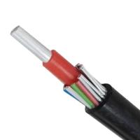 China Best Price 6 AWG ACSR Low Voltage Electrical Cable Two Phases Concentric XLPE PVC EPR Insulation Tinned Copper Overhead for sale