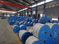 China 2024 Quality Galvanized Guy Wire 3/8\