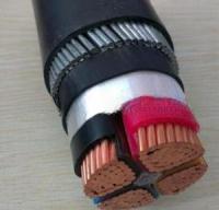 China 2024 Hot Sale PVC Insulated Steel Wire Armoured Low Voltage Multi Conductor Cable for Industrial Use Copper Material for sale