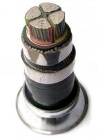 China 2024 Hot Sale PVC Insulated Steel Wire Armoured Low Voltage Multi Conductor Cable for Industrial Use Copper Material for sale