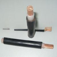 China CE Certified 25mm Copper Cable with PVC XLPE PE Insulation for Industrial Use Single Core 4-Core Aluminum Exported South Africa for sale