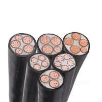 China CE Certified 25mm Copper Cable with PVC XLPE PE Insulation for Industrial Use Single Core 4-Core Aluminum Exported South Africa for sale