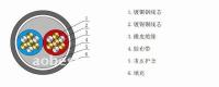 China China 2 Core H05RN-F Low Voltage Power Cable Copper Conductor Rubber Insulated for Industrial Use for sale