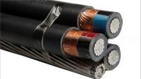China Low Voltage 12V PVC Insulated Aluminum Conductor Power Line for Power Stations PVC Sheathed for sale