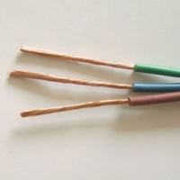 China Best Price BS 624Y 6242Y Twin & Earth Cable Copper Conductor PVC Insulation Low Voltage for Construction for sale