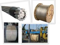 China Superior ACSR Medium and High Voltage Overhead Conductor Aluminum with Bare Insulation ASTM B-230 B-232 B-341 B-498 B-500 for sale