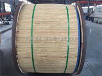 China 2023 year hot sale ACSR100mm conductor SCA 100mm export to Zimbabwe for sale