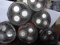 China 0.6/1KV 3.6/6KV 12/20KV 18/35KV Aluminum Core Steel Tape Armoured Cable for Construction South Africa STA Cables at 12V Voltage for sale