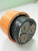 China XLPE Insulation High Voltage 3.6/6KV Insulated Cable for Overhead Application in Nigeria for sale