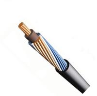 China Concentric Design 10mm2 PVC Insulated Electrical Wires AA Cables with Neutral Screen for sale