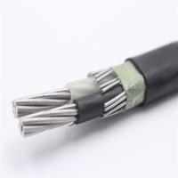 China Aobest 2x16mm Weather-resistant Dac Cable with Copper Conductor and PVC Insulation Low Voltage for Construction for sale