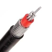 China Aobest 2x16mm Weather-resistant Dac Cable with Copper Conductor and PVC Insulation Low Voltage for Construction for sale