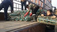 China China high quality glass insulator LXDP-70/100 for sale
