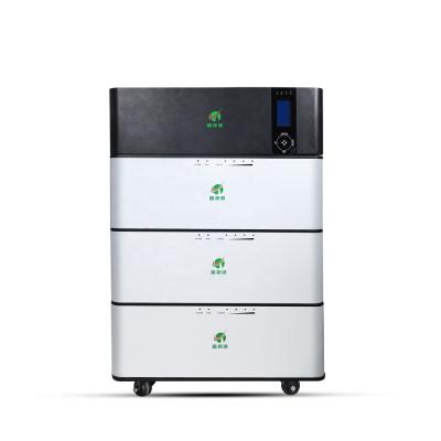 China 51.2V 100AH LiFePO4 Battery with BMS for Solar Systems - 6000 Cycle Life, 56KG Weight for sale