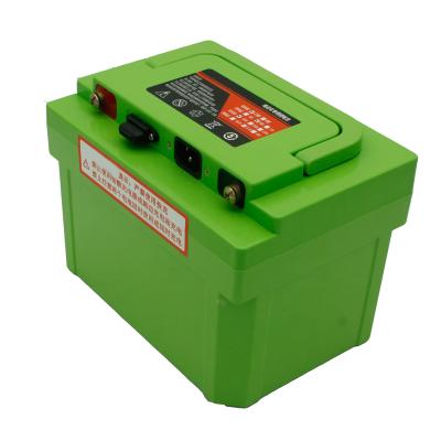 China 12V 300Ah LiFePO4 Deep Cycle Battery with 6000+ Cycles for Solar RV Marine UPS Applications for sale