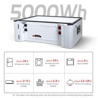 China 51.2V 300Ah LiFePO4 Battery 15kWh Home Energy Storage System with 6000+ Cycle Life for sale