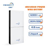 China Powerwall LiFePO4 24V Solar Battery 51.2V 100AH with BMS for Residential Energy Storage for sale