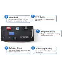 China 51.2V 100Ah LiFePO4 Rack Solar Energy Storage Battery Pack with 6000 Cycles and IP20 Rating for sale