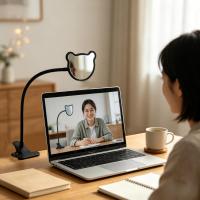 China Clip On Privacy Desk Bear Shaped Mirror Flexible Gooseneck Anti Peep For Office for sale