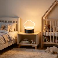 China Custom Rechargeable & Battery Powered LED Night Light Multi Color RGB Small Desk Lamp for Bedroom Decor for sale