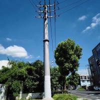 China Hot-dip Galvanized Electrical Power Pole and Steel Utility Pole with 160 km/h Wind Resistance for Round or Polygonal Transmission Line Pole for sale