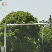China Straight Type Traffic Signal Post 3M 6M High Durability For Cross Road for sale