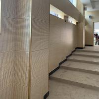 China Wooden Perforated Acoustic Panel MDF Board 3D Wall Panel For Office for sale