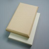 China Leather Acoustic Panel 600x600mm Fireproof Sound Absorbing Wall Padding for Hall for sale
