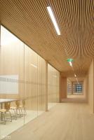 China Easy Installation Acoustic Ceiling Panel Noise Reduction Acoustic Wood Panel for Home Decor for sale