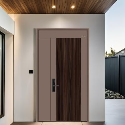 China Modern Optional Handle Steel Security Entry Door for Front Entry for sale