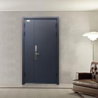 China Heavy-Duty Anti-Intrusion Customizable Steel Door for Residential Main Entrance for sale